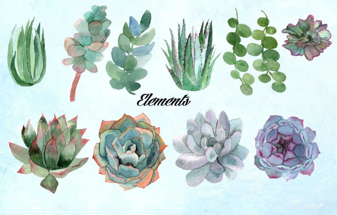 Watercolor Succulents Clip Art | Etsy