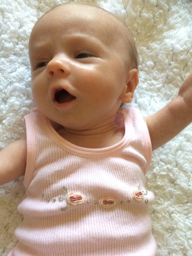 Baby Singlet Floral Rose Singlet Hand Embroidered Baby Pink - Etsy ...