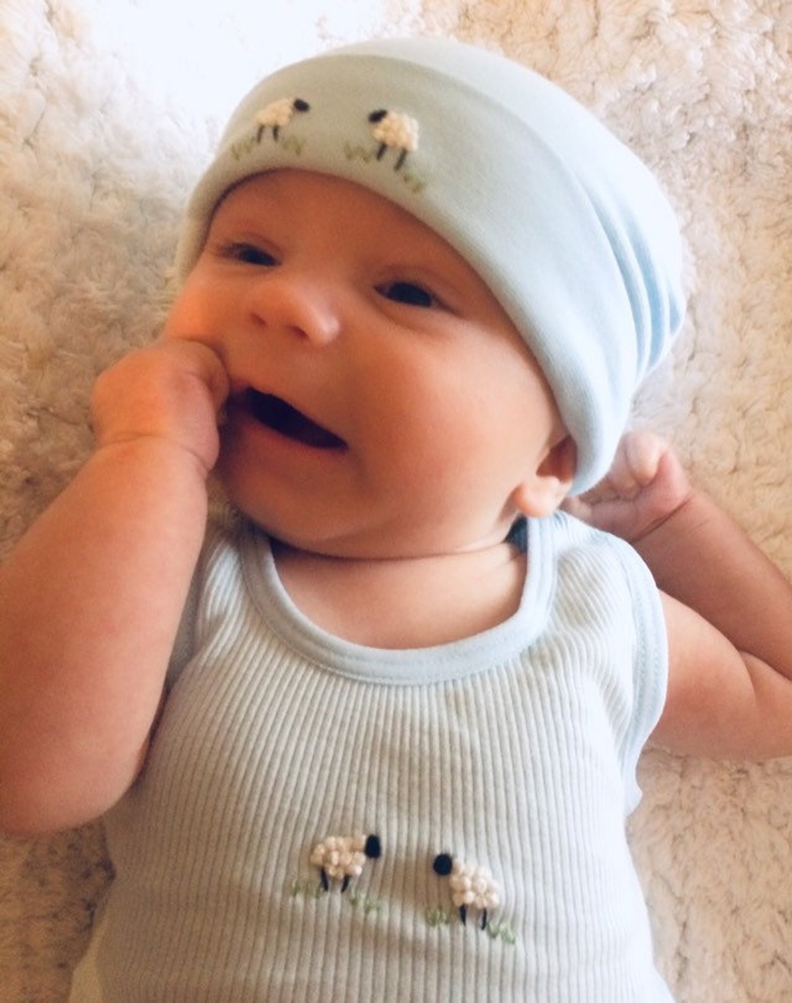 Baby Sheep Singlet, Baby Boy Sheep Singlet, Embroidered Blue Singlet ...