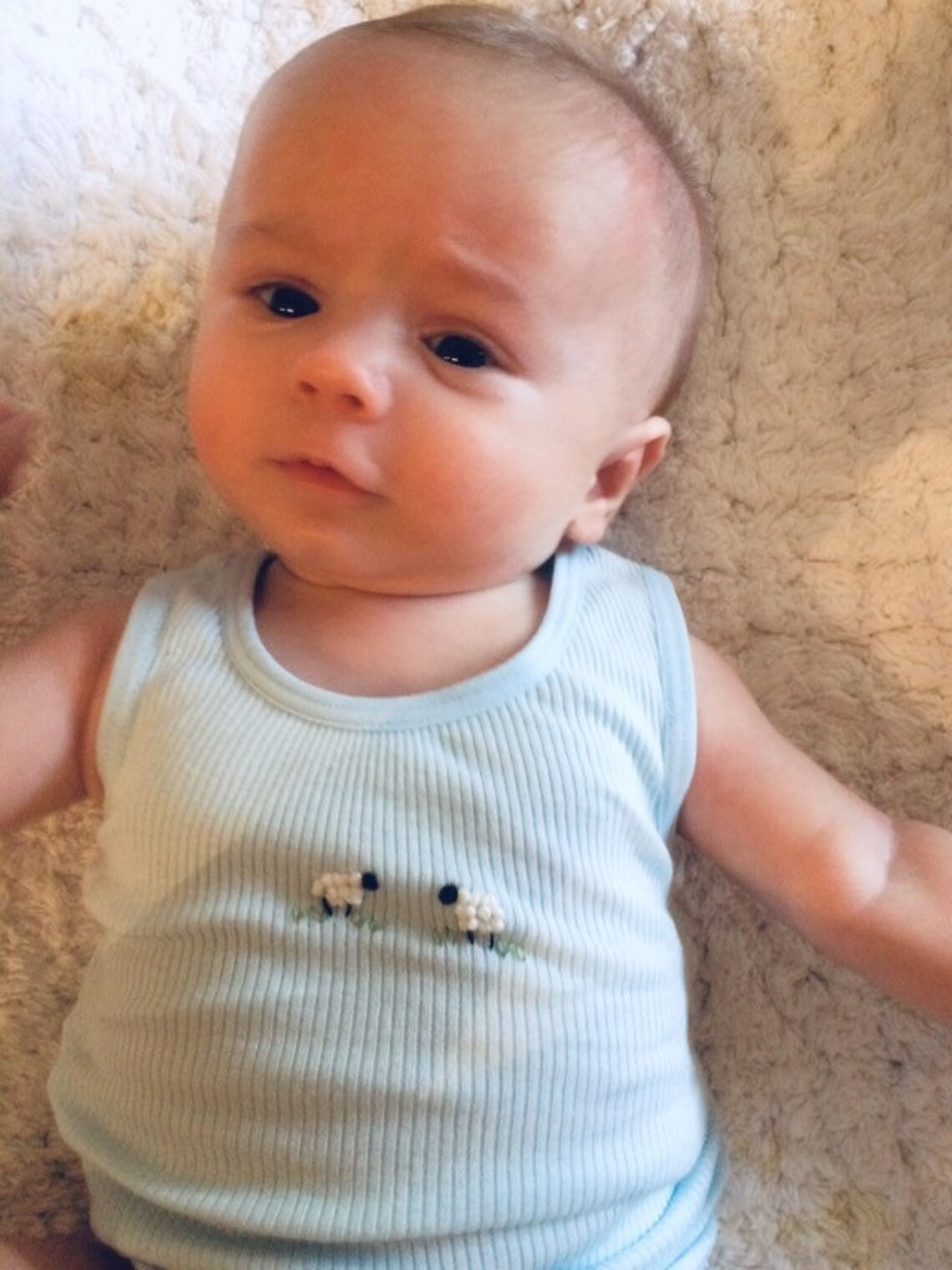 Baby Sheep Singlet, Baby Boy Sheep Singlet, Embroidered Blue Singlet ...