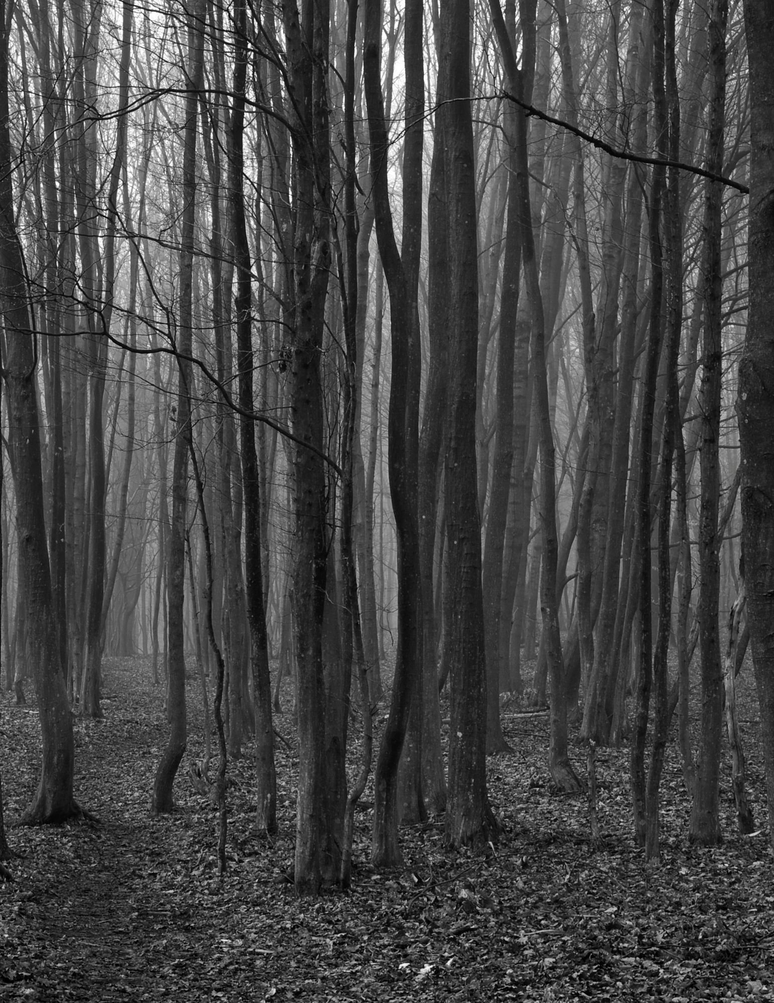 3 Unique Infamous Serial Killer Word Searches Adult Macabre - Etsy