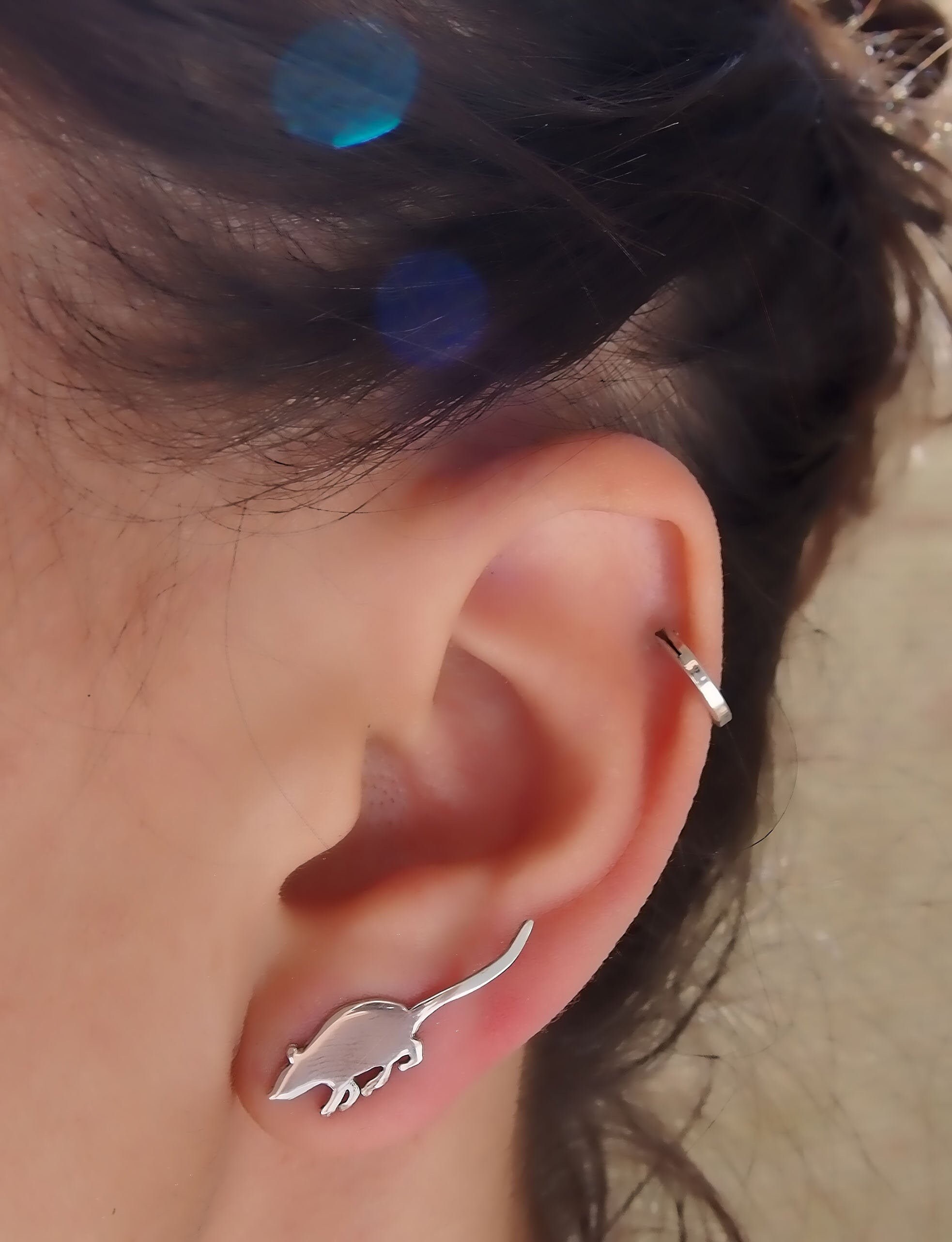 Rat earrings.Sterling silver stud.Year of the rat.Zodiac | Etsy