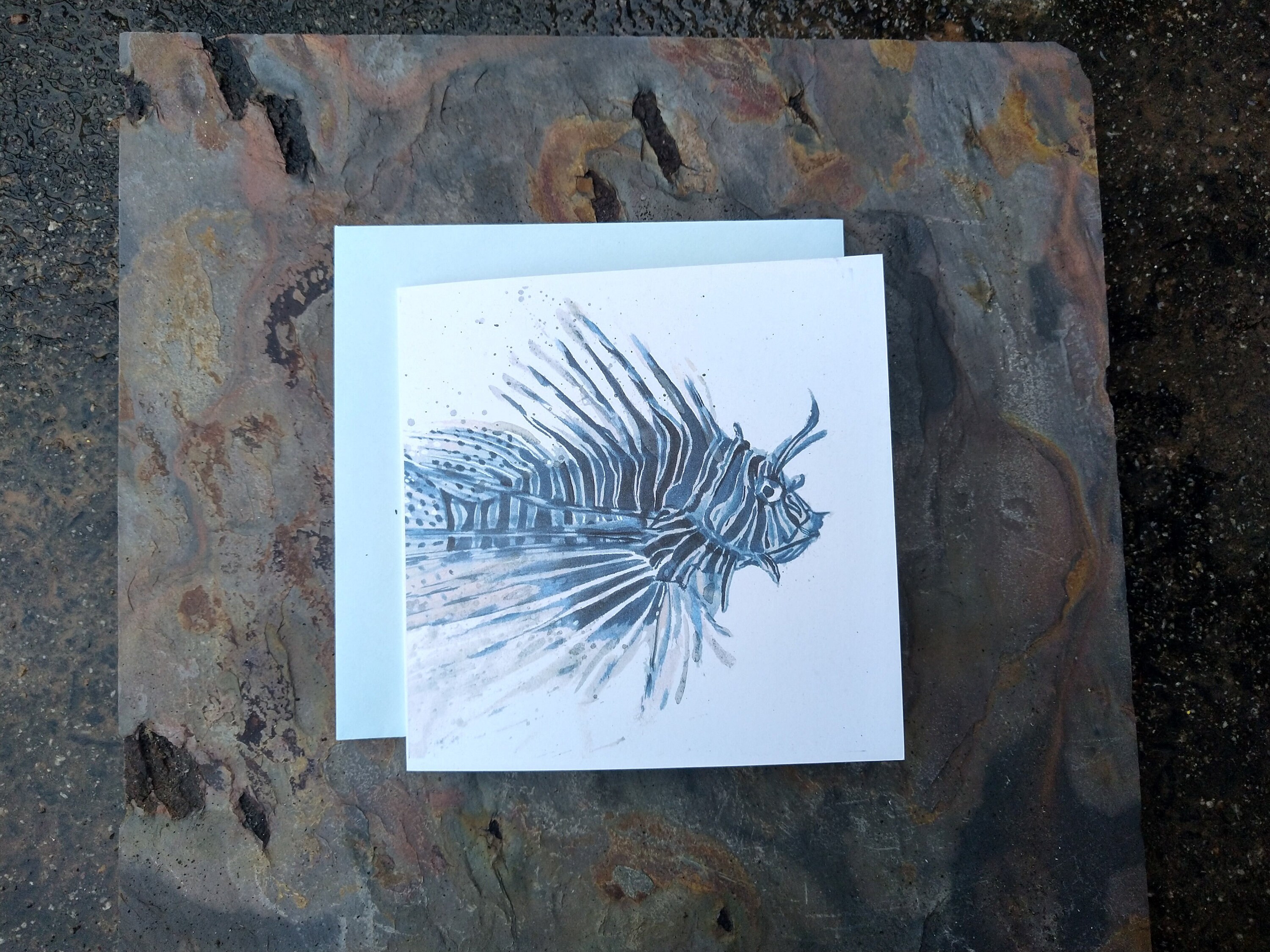THE INKFISH Greetings Card Print From an Original - Etsy