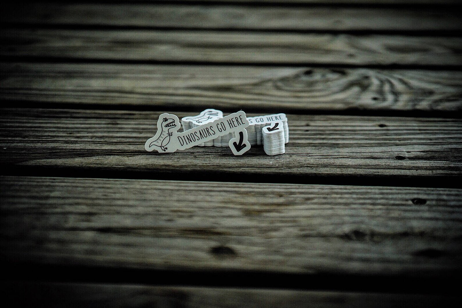 Dinosaurs Go Here Sticker - Etsy