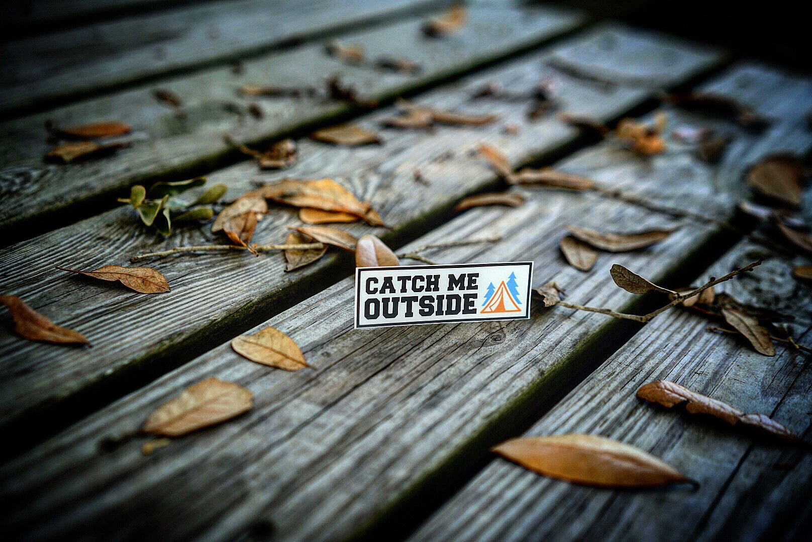 Catch Me Outside Sticker - Etsy