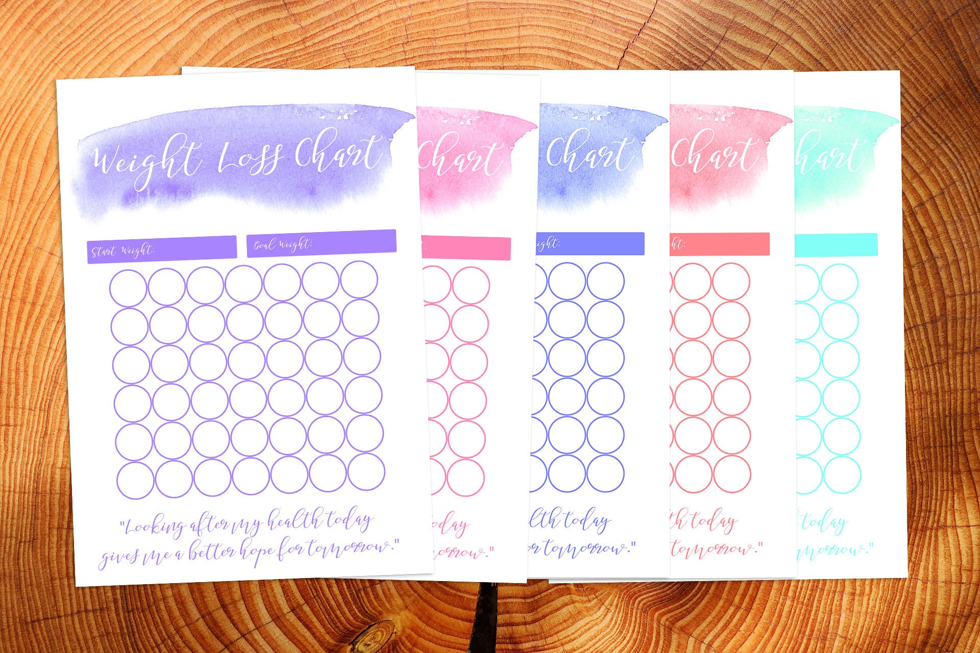 All Printable Weight Loss Chart A4 Slimming World Weight | Etsy