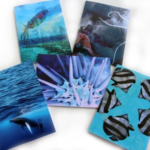 Deep Blue Greeting Card Set 5 Gift Cards Photography Gift Cards Blank ...