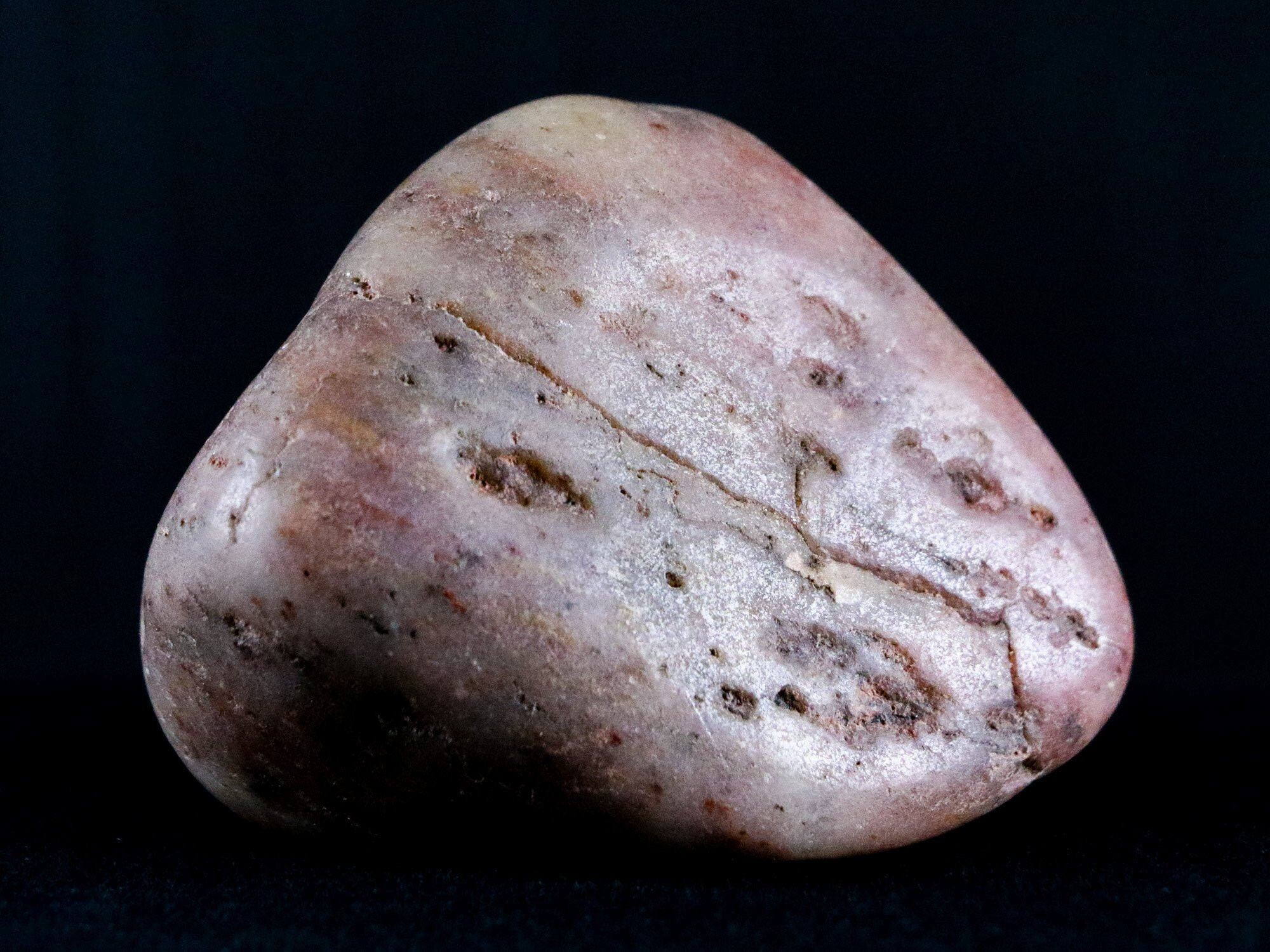 Barney The Dinosaur Stomach