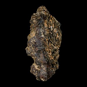 1.6" Tyrannosaurus Rex Dinosaur Fossil Bone Marrow Lance Creek FM ...