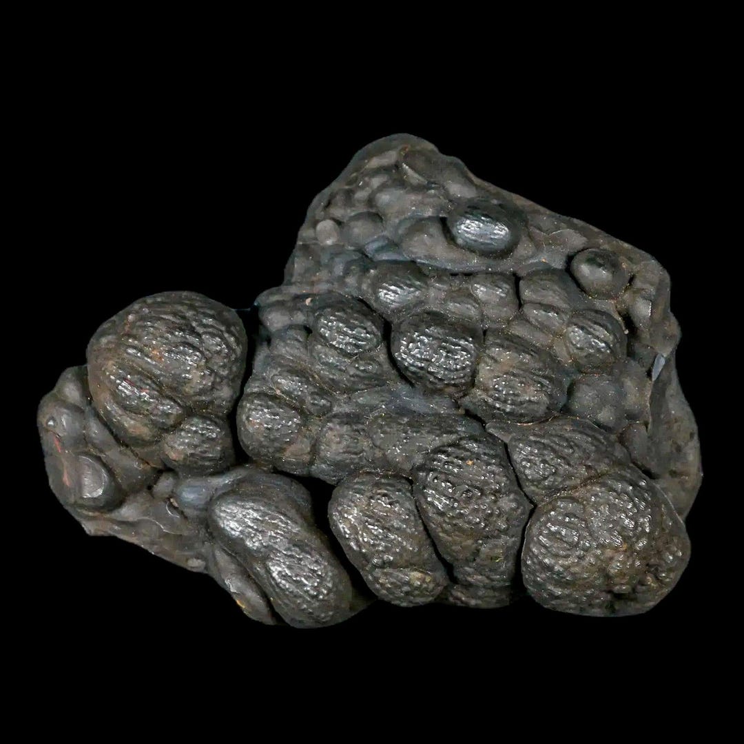 2.8" Hematite Botryoidal Kidney Ore Rock 5.8 Ounces Mineral Specimen ...