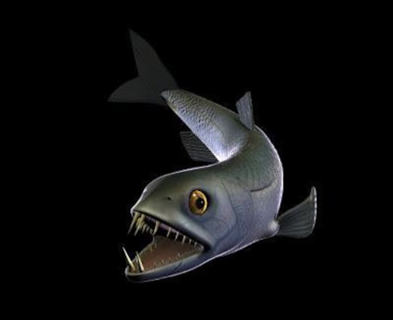 Saber Toothed Herring Fossil Fish Enchodus Libycus Tail Fossil - Etsy