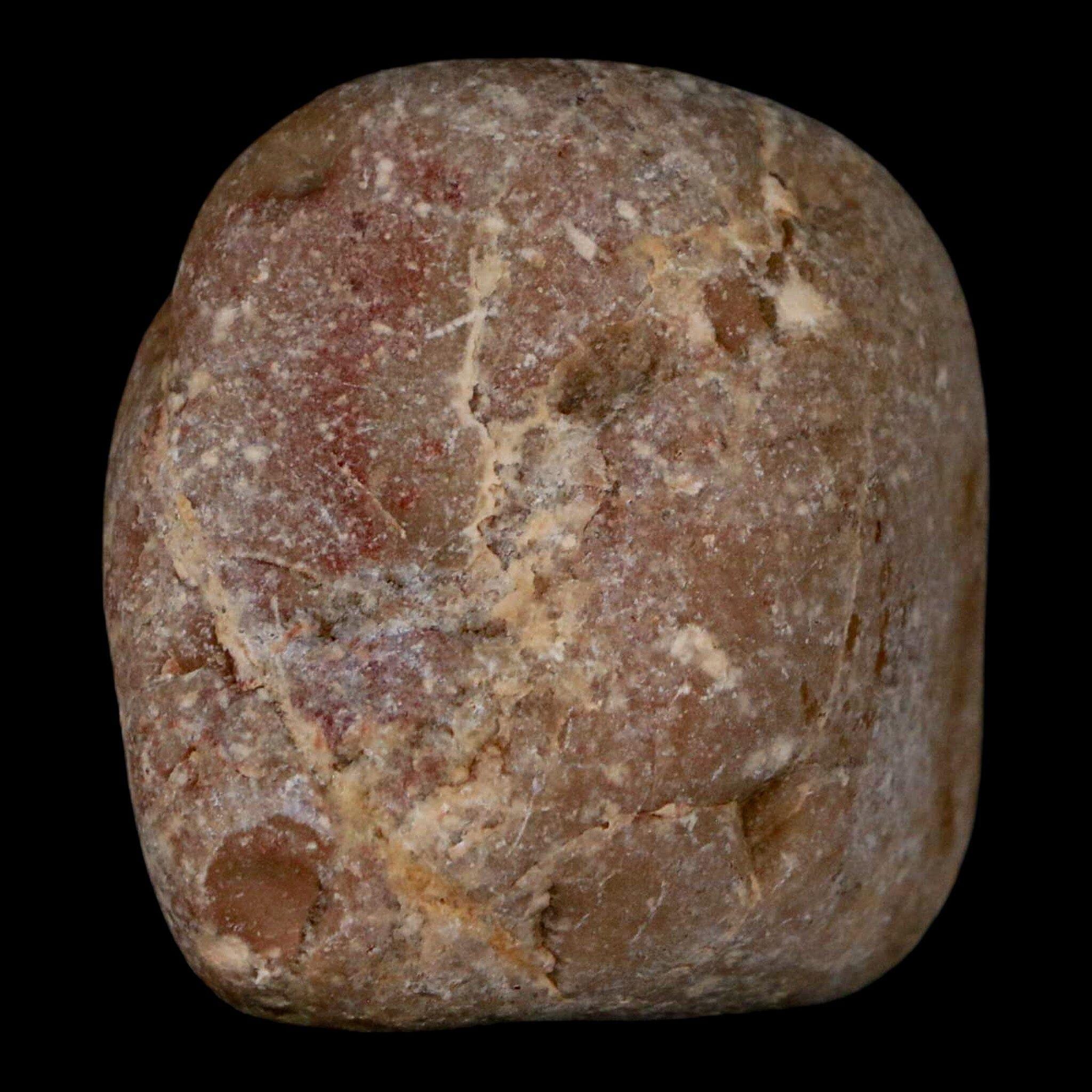2.1" Sauropod Dinosaur Stomach Stone Gastrolith Rock Gizzard Stone ...