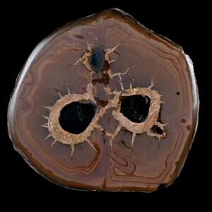 XL 3.5" Septarian Dragon Stone Polished Nodule Pair Geode Cut Halves ...