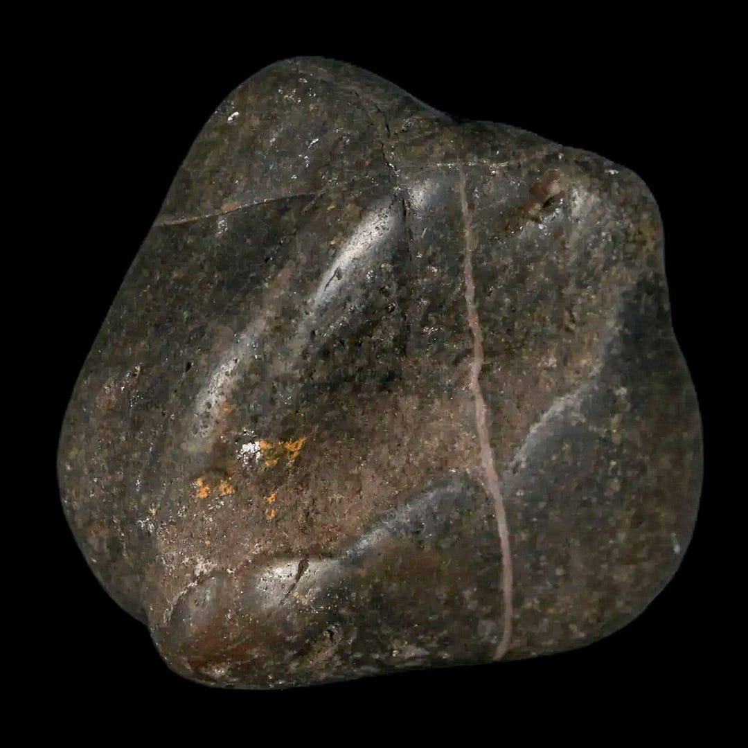 1.8 Sauropod Dinosaur Stomach Stone Gastrolith Rock Gizzard Stone ...