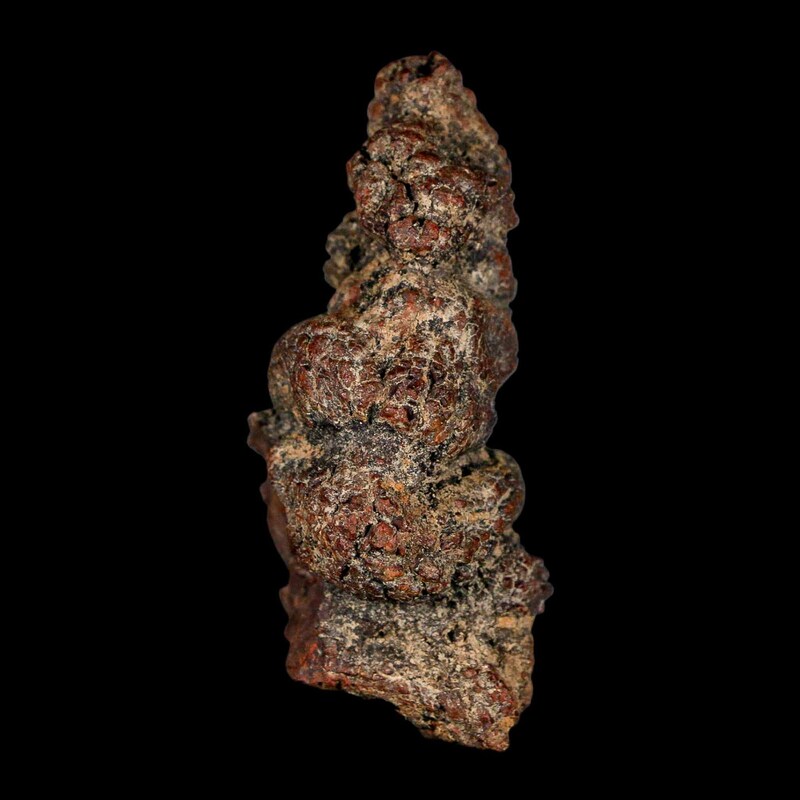 Coprolite - Etsy