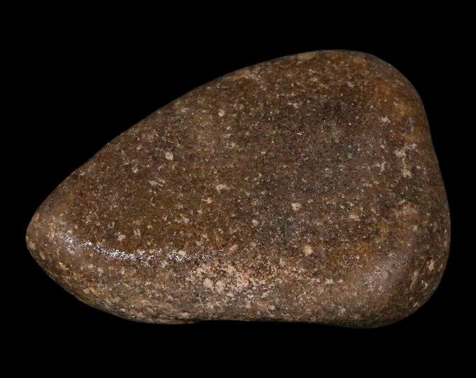 1.6" Sauropod Dinosaur Stomach Stone Gastrolith Rock Gizzard Stone ...