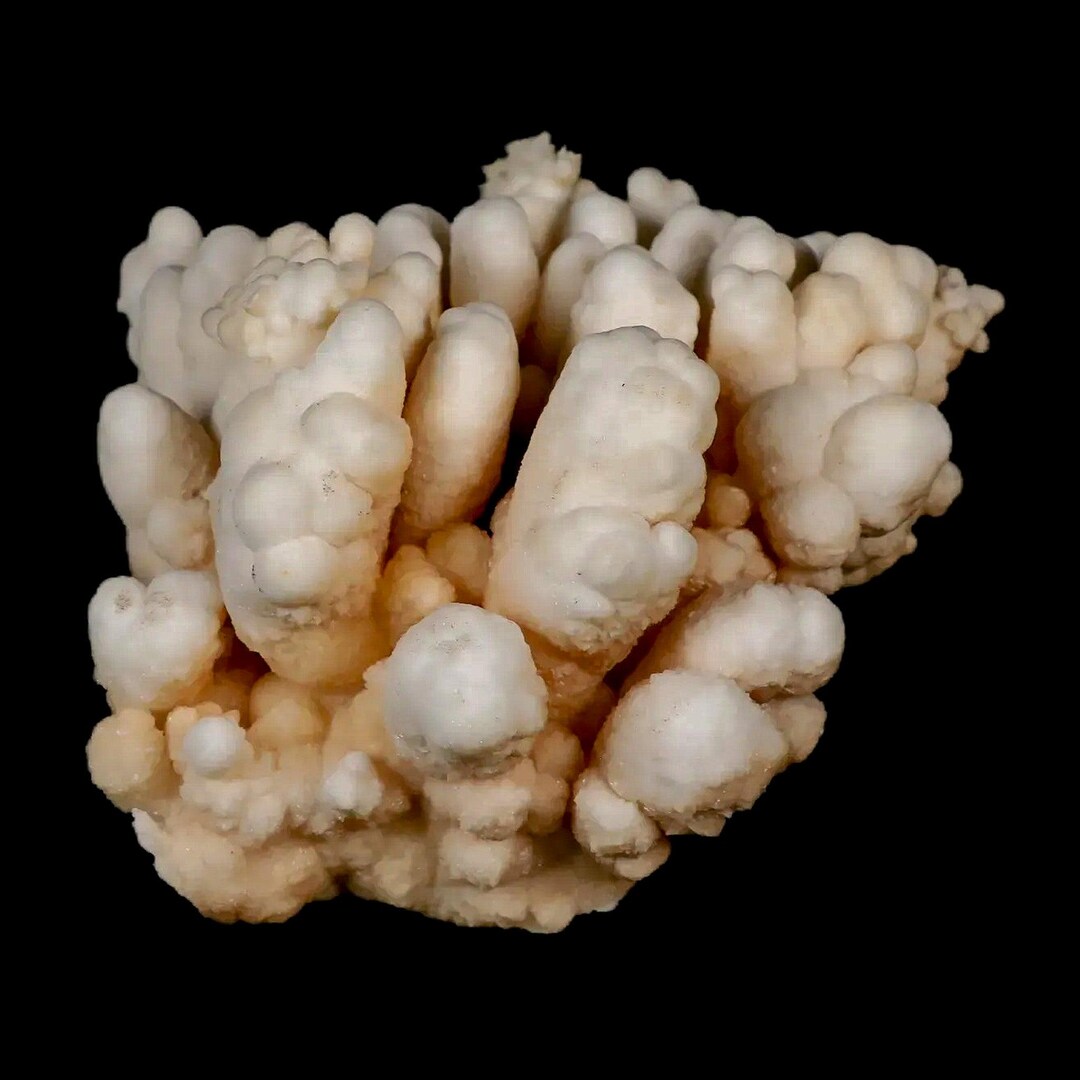 3.7" Botryoidal Aragonite Cave Calcite Crystal Cluster Mineral Specimen ...