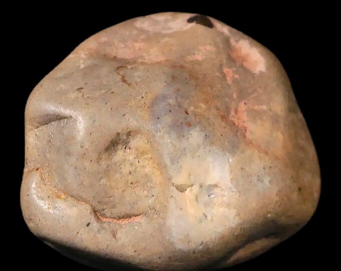 1.6" Sauropod Dinosaur Stomach Stone Gastrolith Rock Gizzard Stone ...
