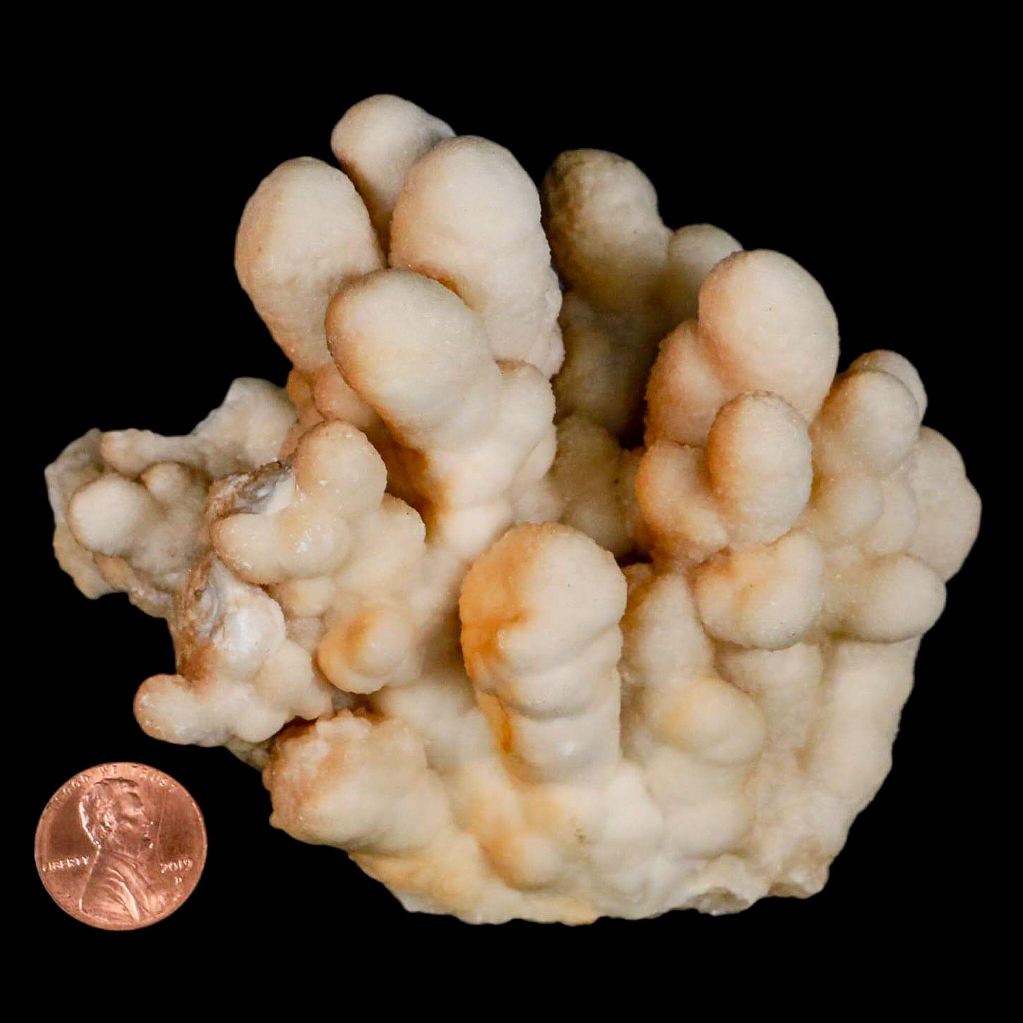 4.1