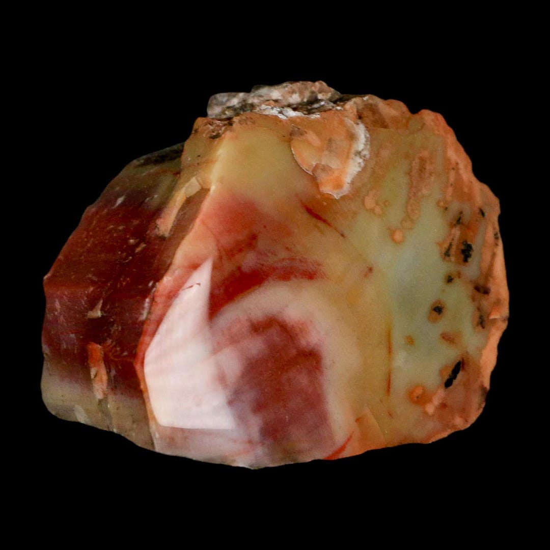 2.3" Fossilized Rainbow Petrified Wood Branch Specimen Chinle Formation ...