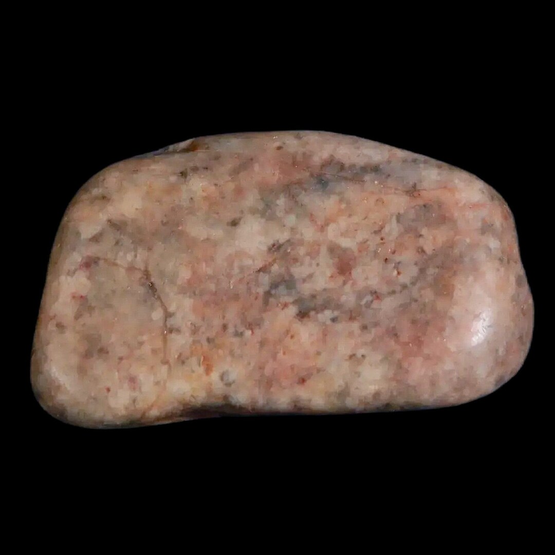 1.6 Sauropod Dinosaur Stomach Stone Gastrolith Rock Gizzard Stone ...