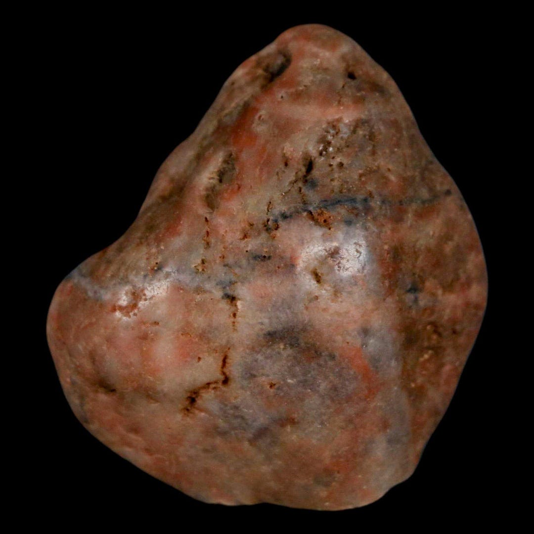 1.7" Sauropod Dinosaur Stomach Stone Gastrolith Rock Gizzard Stone ...