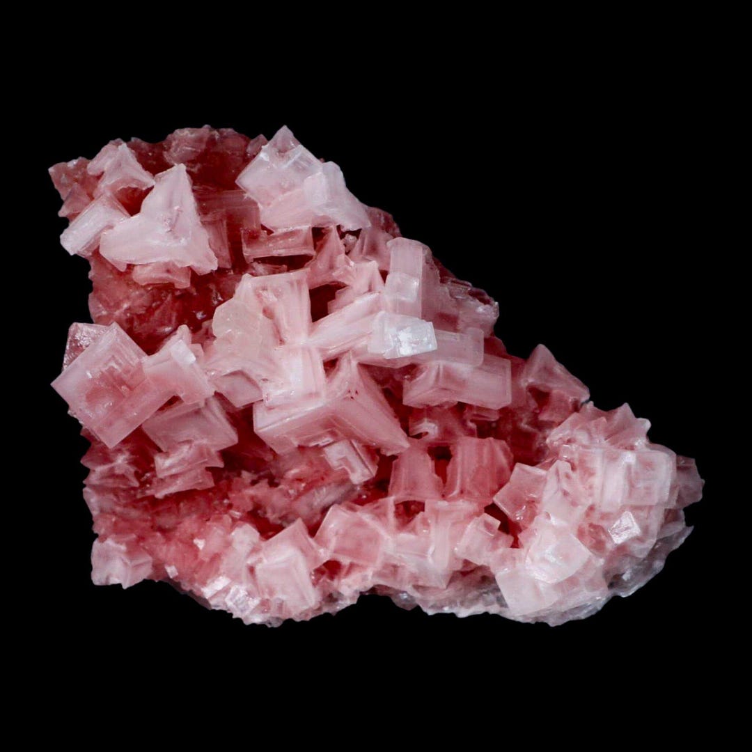 4" Quality Pink Halite Salt Crystals Cluster Mineral Trona, California ...