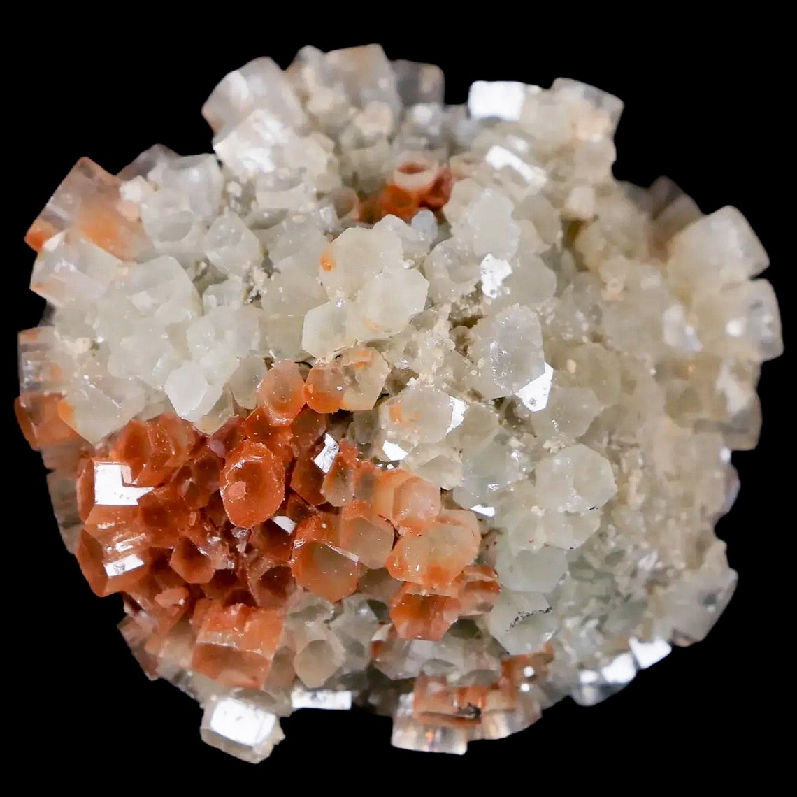 2.1" Aragonite Two Tone Red & White Crystal Cluster Free Form Mineral ...