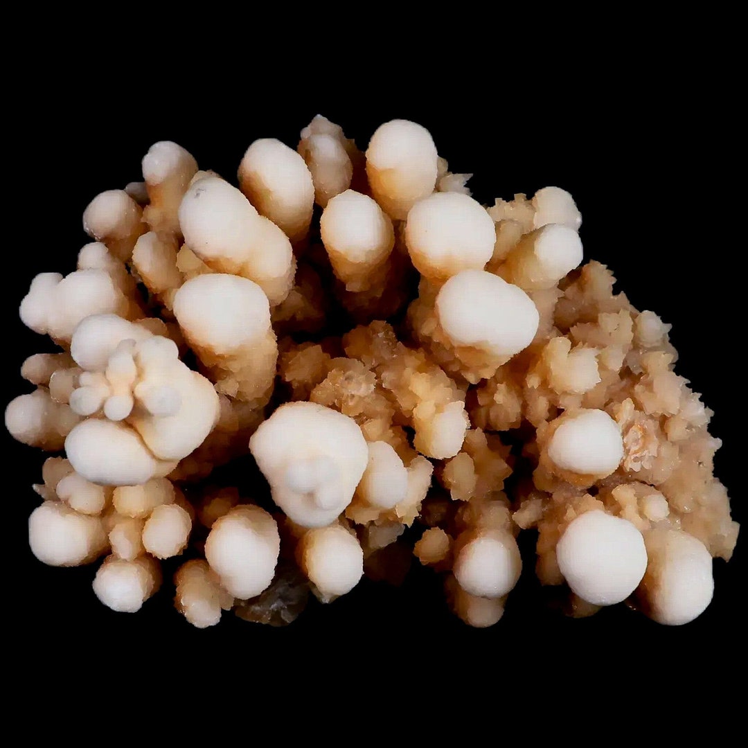 XL 5" Botryoidal Aragonite Cave Calcite Crystal Cluster Mineral ...