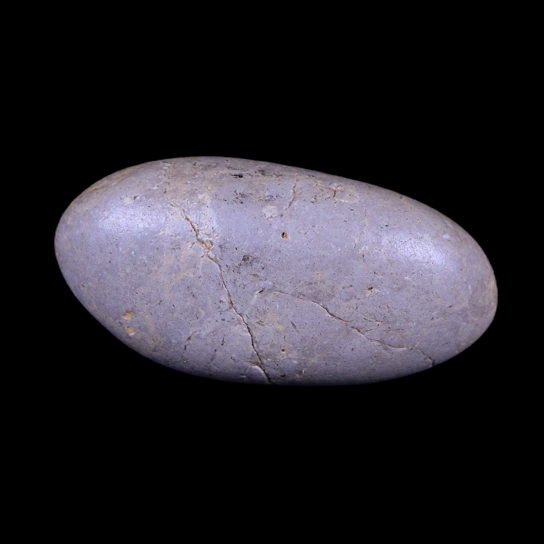 1.7 Sauropod Dinosaur Stomach Stone Gastrolith Rock Gizzard Stone ...