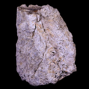 3.3 Triceratops Skull Fossil Bone Lance Creek Formation Late Cretaceous ...