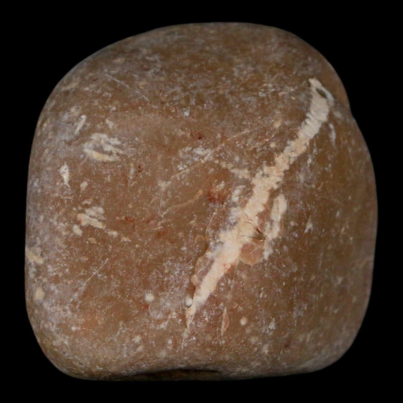 2.1" Sauropod Dinosaur Stomach Stone Gastrolith Rock Gizzard Stone ...