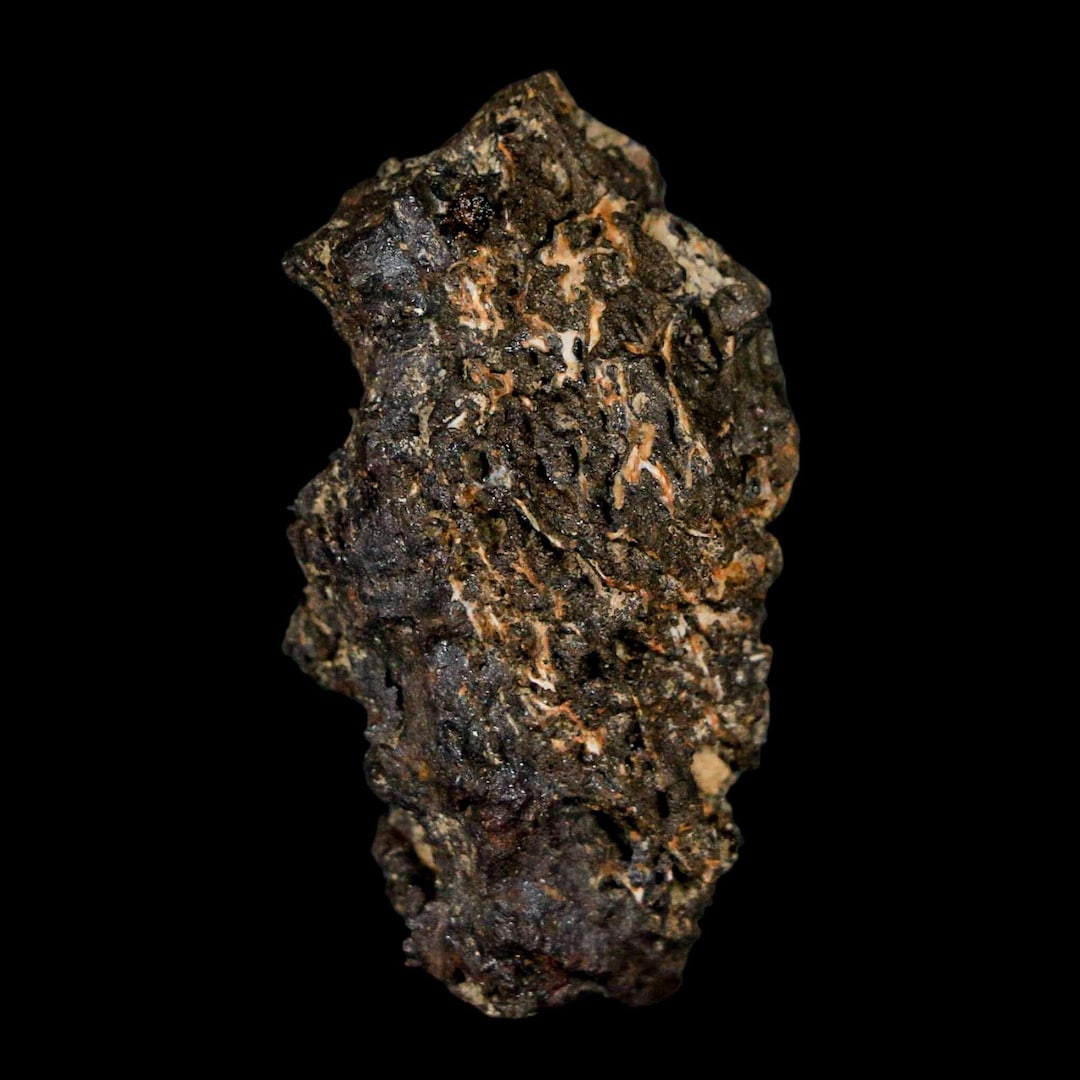 1.6" Tyrannosaurus Rex Dinosaur Fossil Bone Marrow Lance Creek FM ...