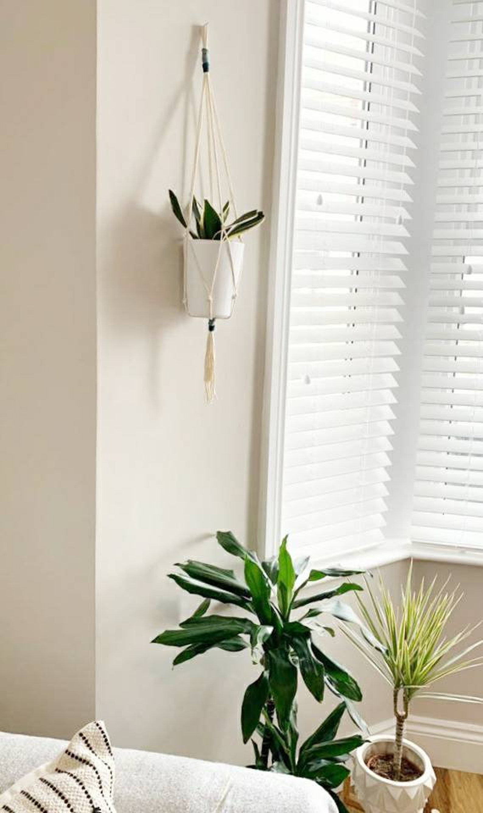 Modern Macrame Plant Hanger Rope Planter With Colour Trim | Etsy