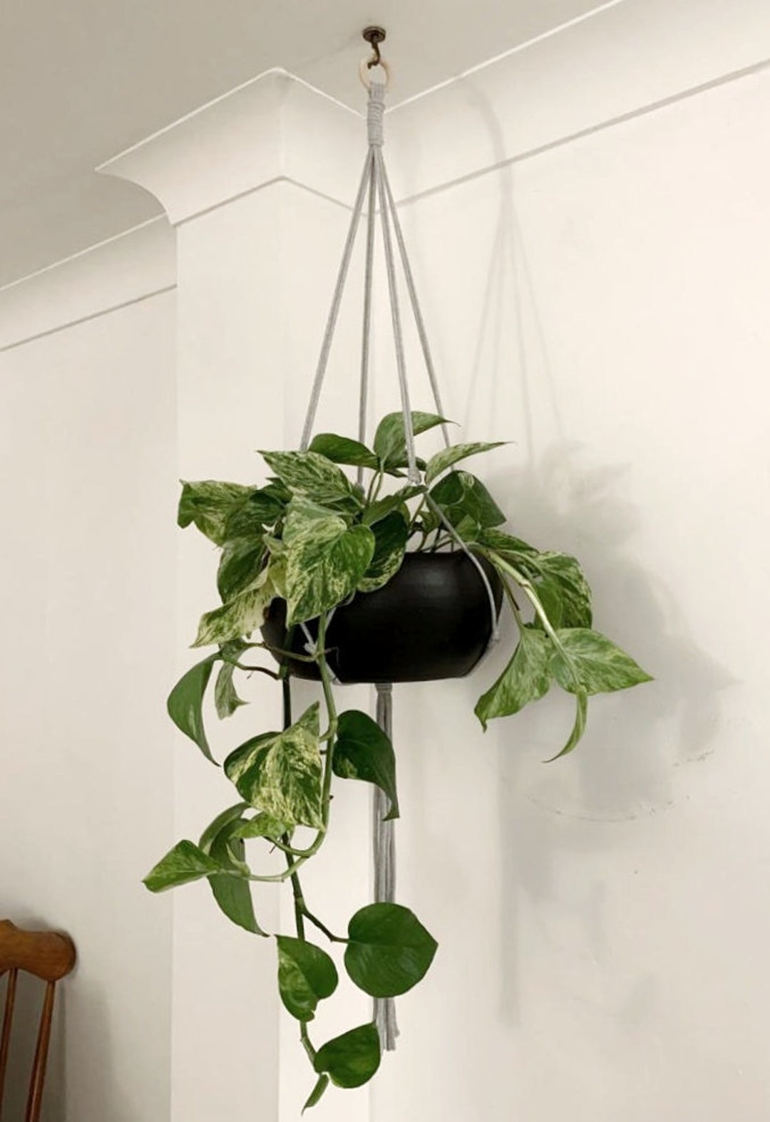 Colgador de planta macramé gris pálido con borla extra larga y aro de ...