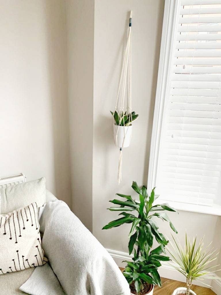 Modern Macrame Plant Hanger Rope Planter With Colour Trim | Etsy