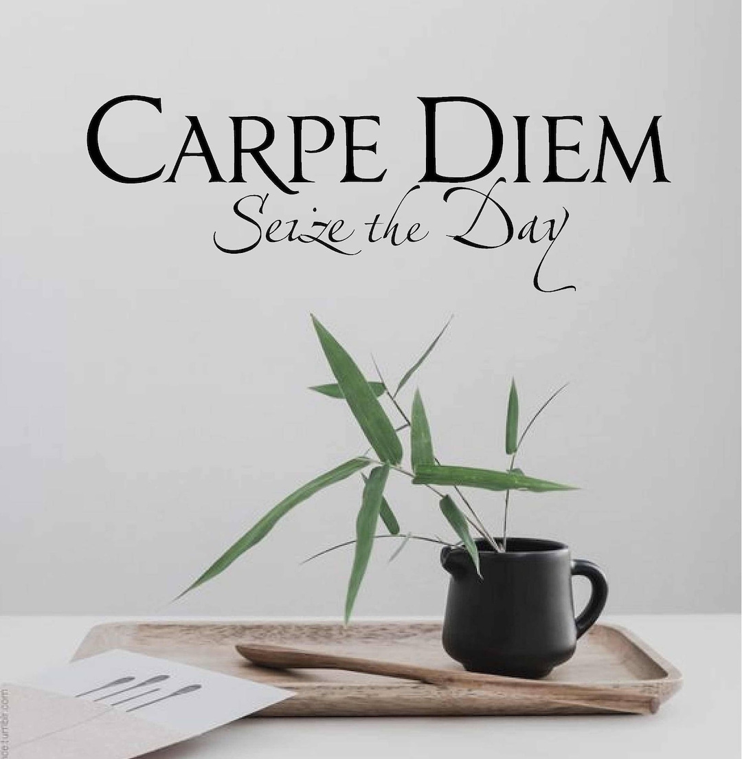 Carpe Diem Seize the Day Inspirational Wall Decal Vinyl - Etsy