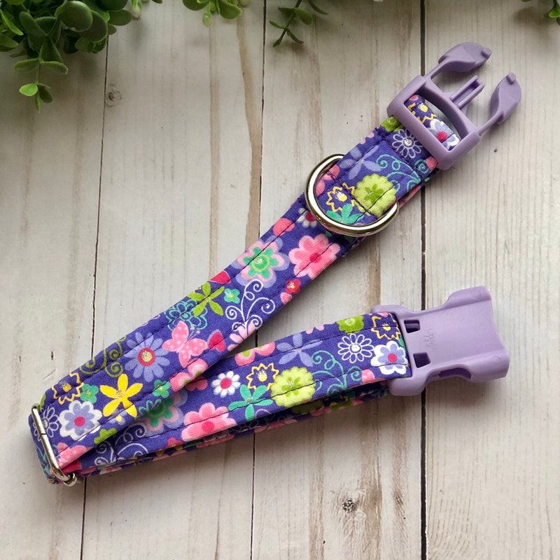 Spring Dog Collar - Etsy