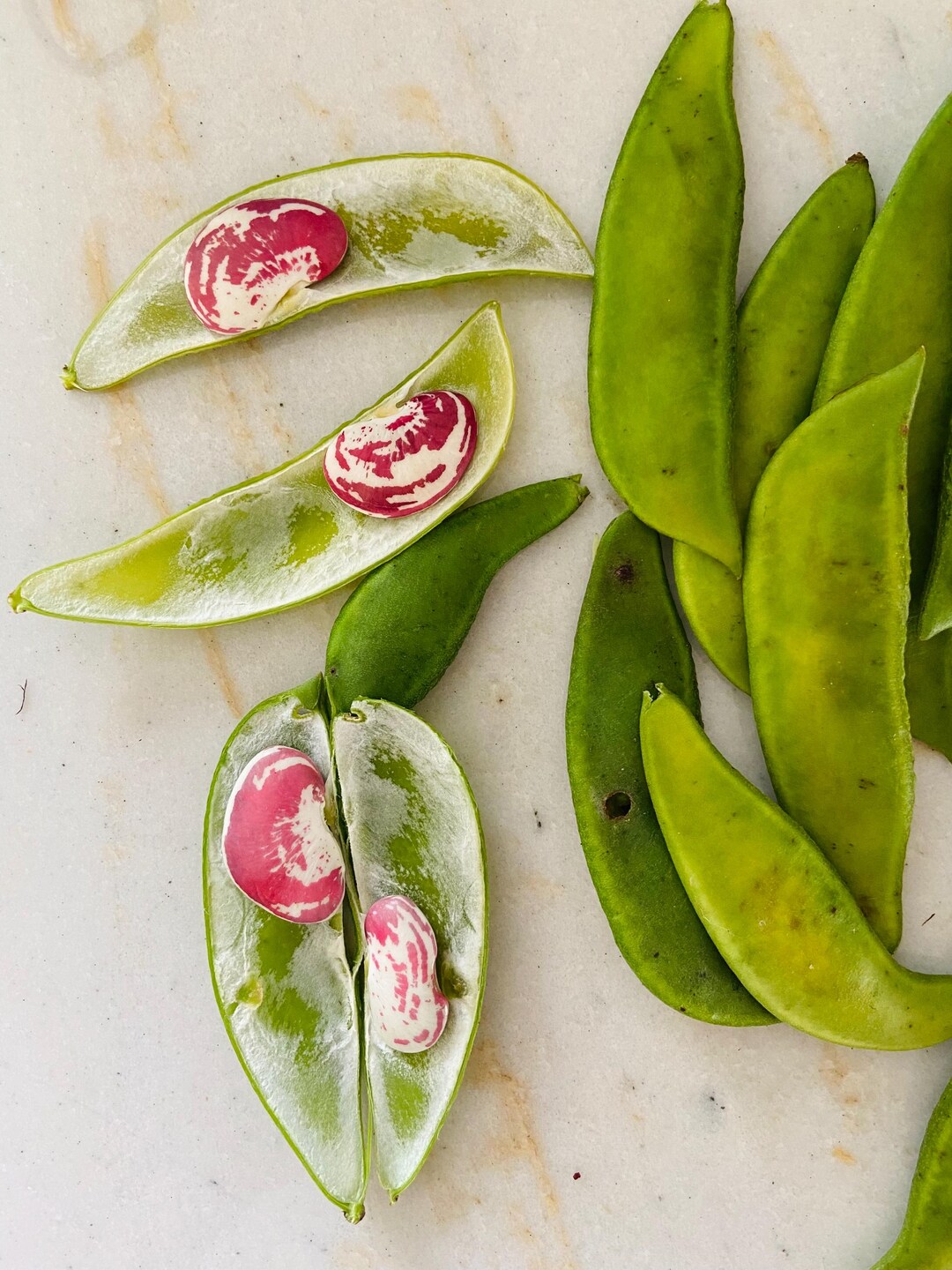 Christmas Lima Pole Bean Seeds, Heirloom Chestnut Beans, Organically ...