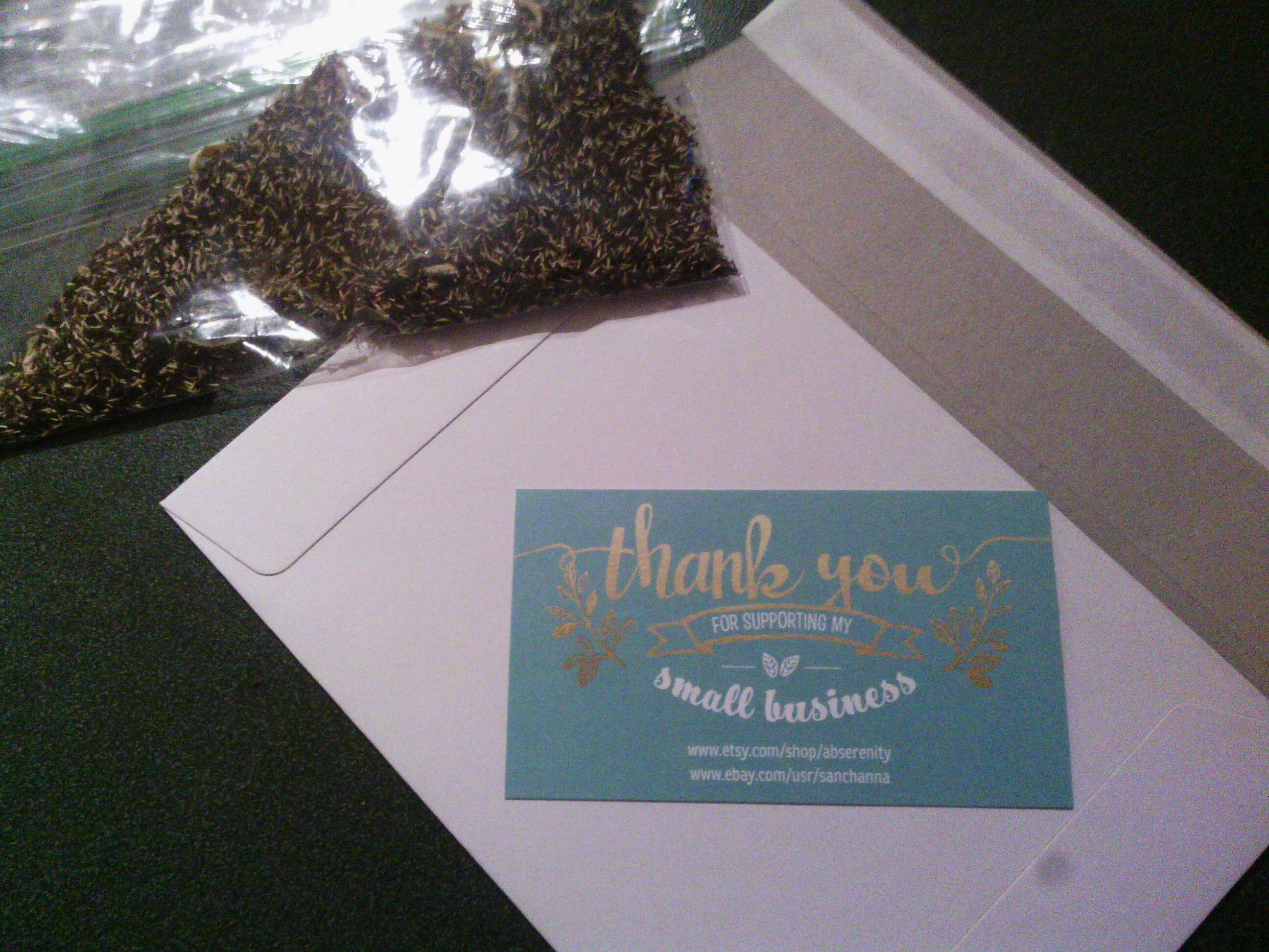 Lupinus Blue Purple Lupine 20 seeds nutritious USPS | Etsy