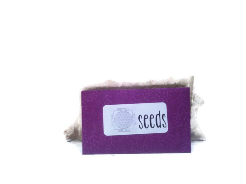 Lupinus Blue Purple Lupine 20 Seeds Nutritious USPS - Etsy