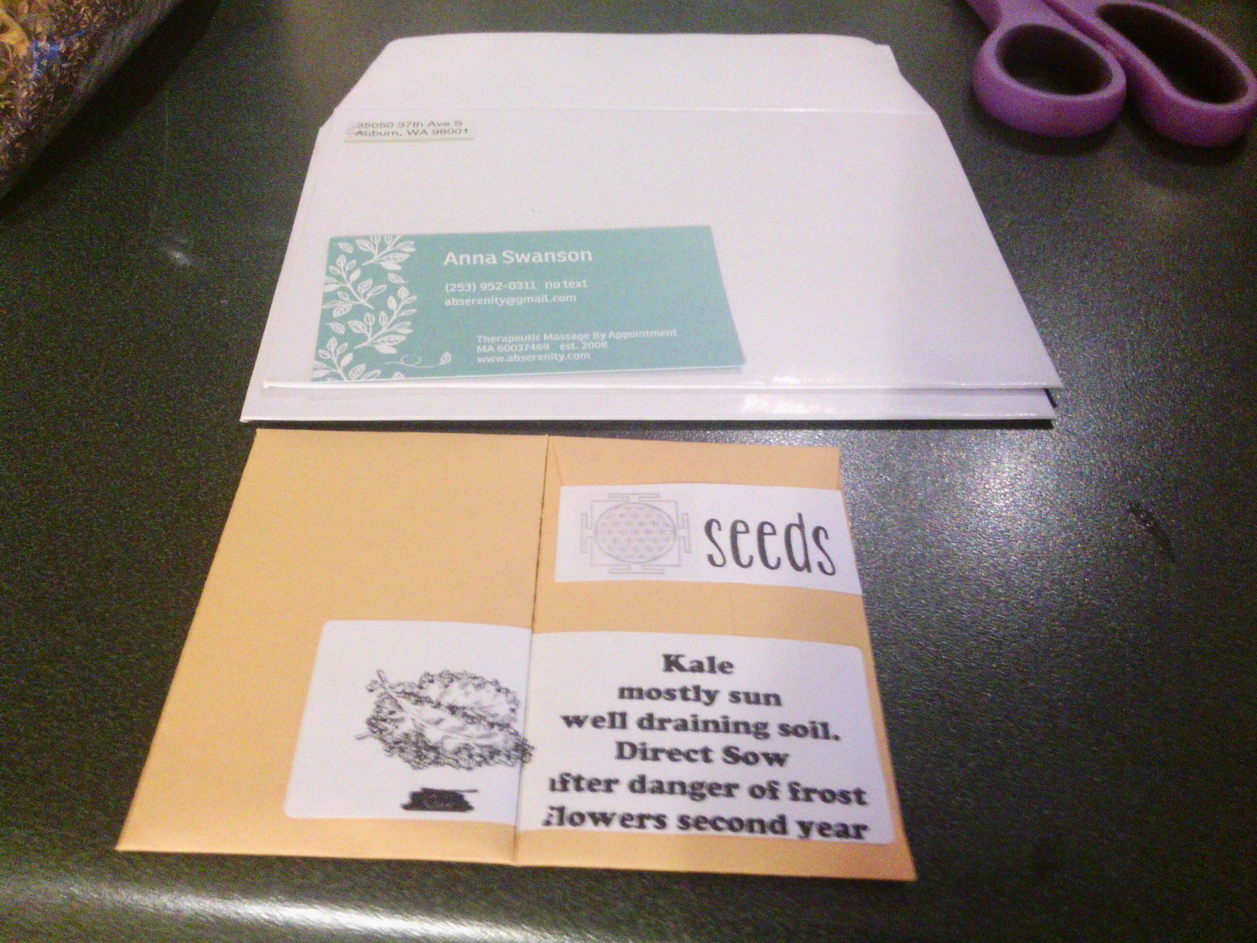 Lupinus Blue Purple Lupine 20 seeds nutritious USPS | Etsy