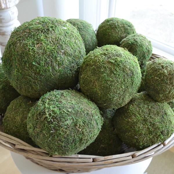 Moss Ball - Etsy