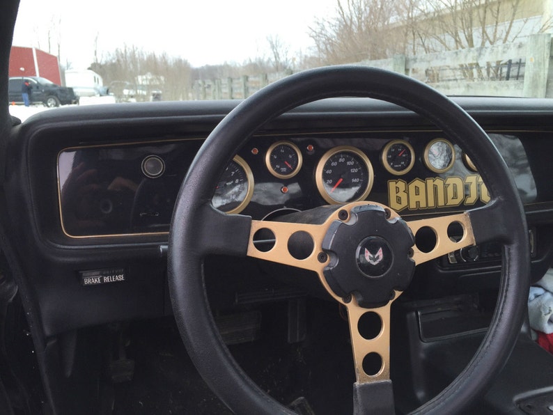 1977-1979 Trans Am Decal Set 42 X42 Hood Bird, Names, Sails, Pinstripes ...