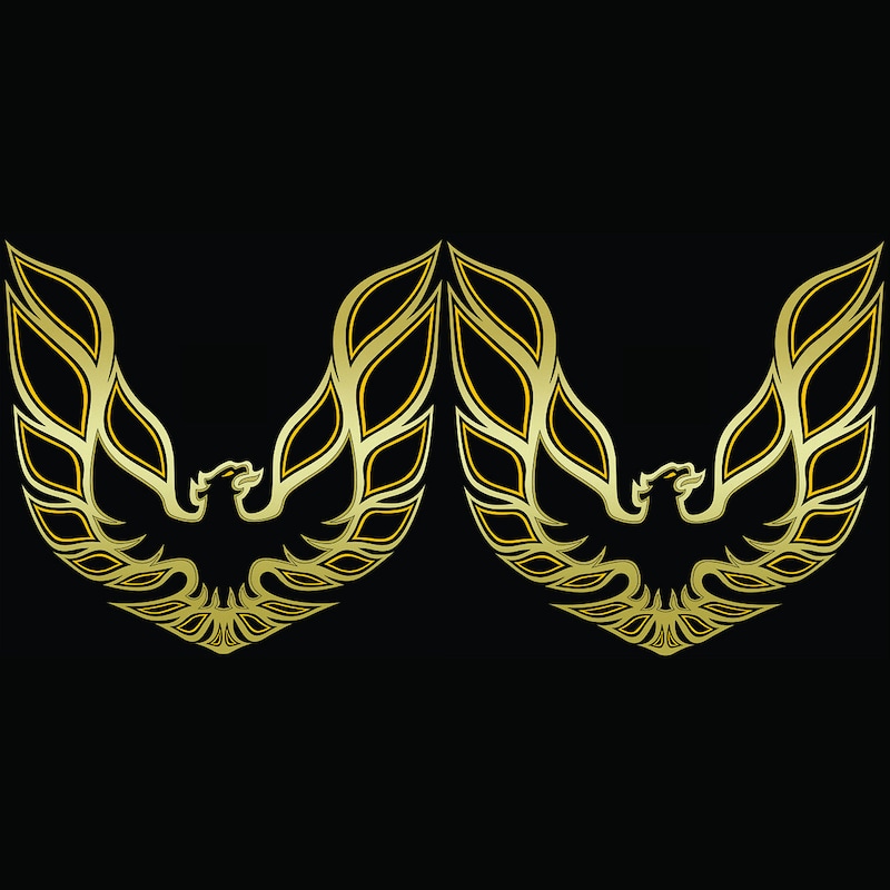 Trans Am Decal - Etsy