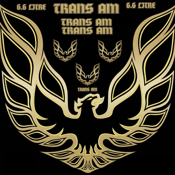 Trans Am Decal - Etsy