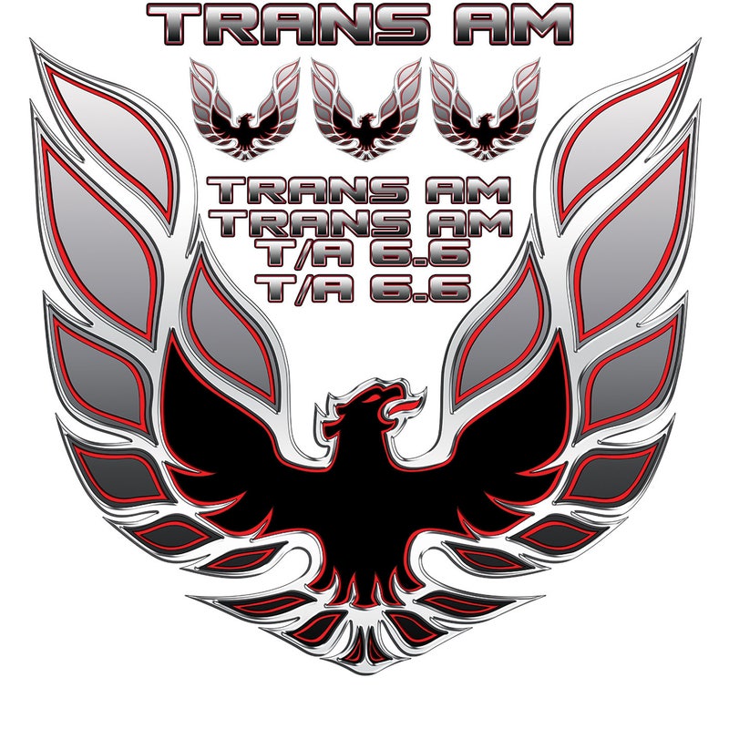 Trans Am Decal - Etsy