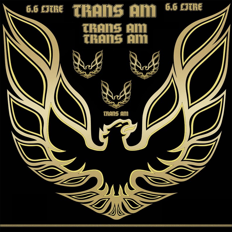 1977-1979 Trans Am Decal Set 42 X42 Hood Bird, Names, Sails, Pinstripes ...