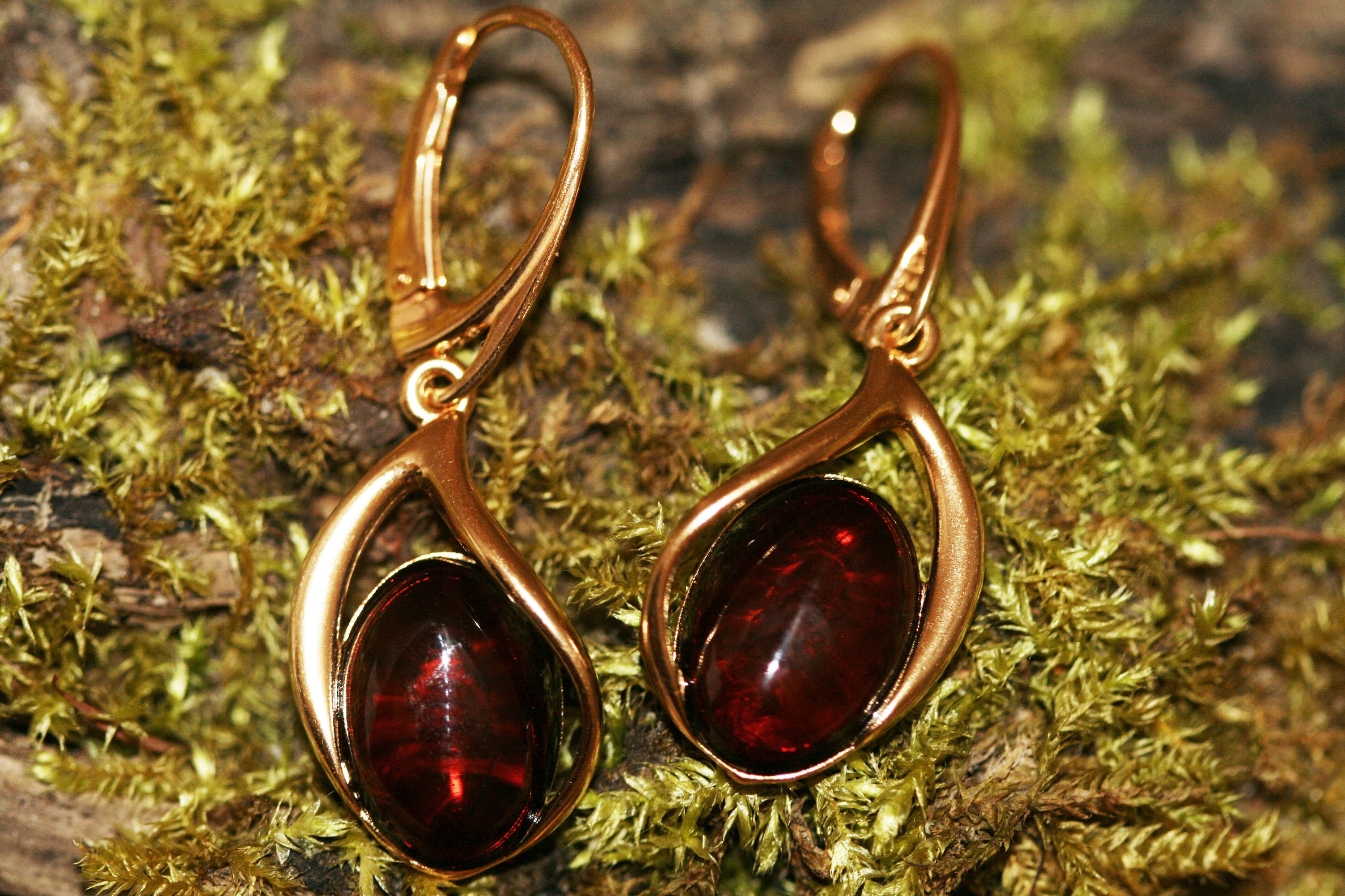 Amber & Gold. Baltic amber earrings, 14ct gold plated sterling silver ...