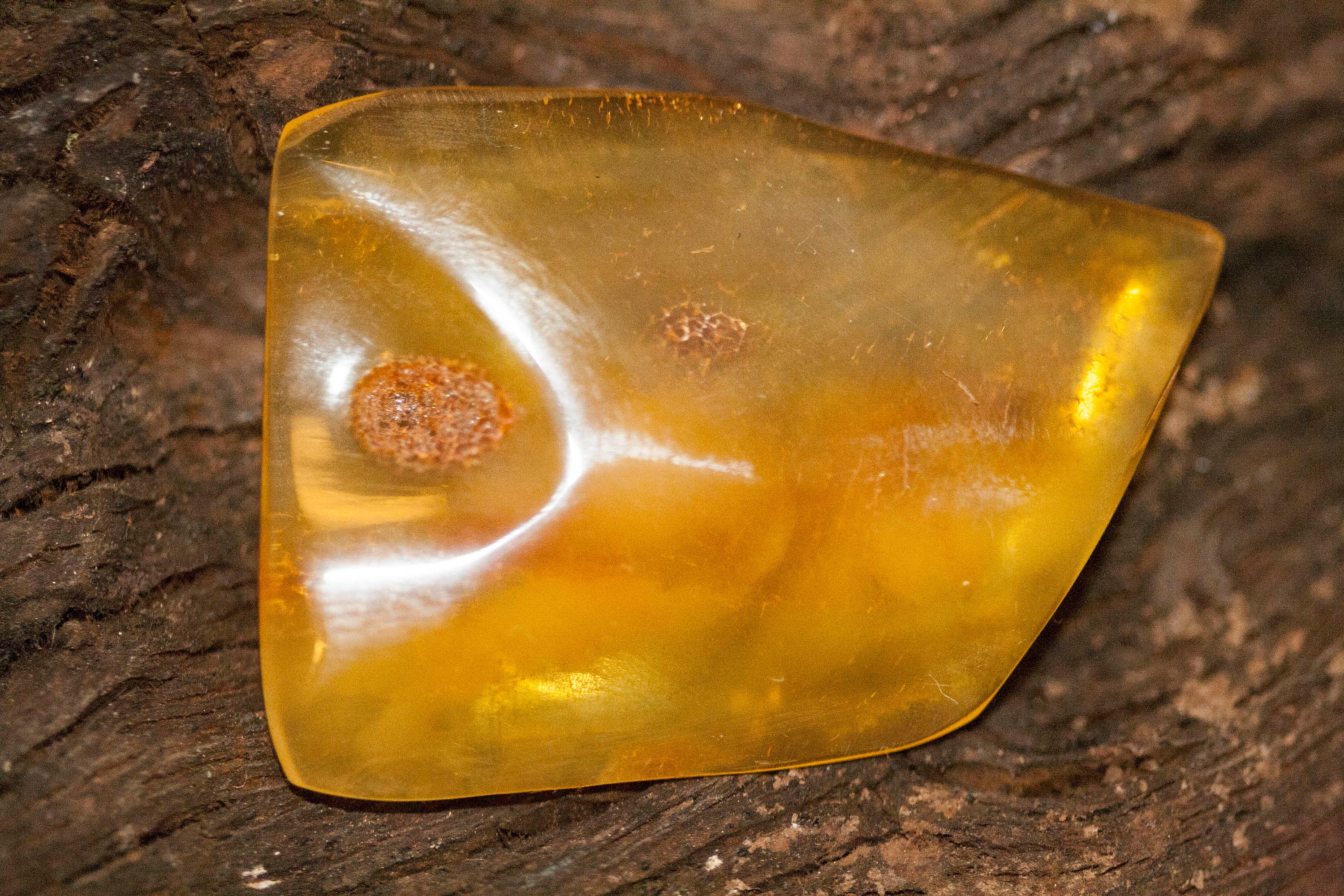 Natural baltic amber, loose amber, big amber piece, amber nugget ...
